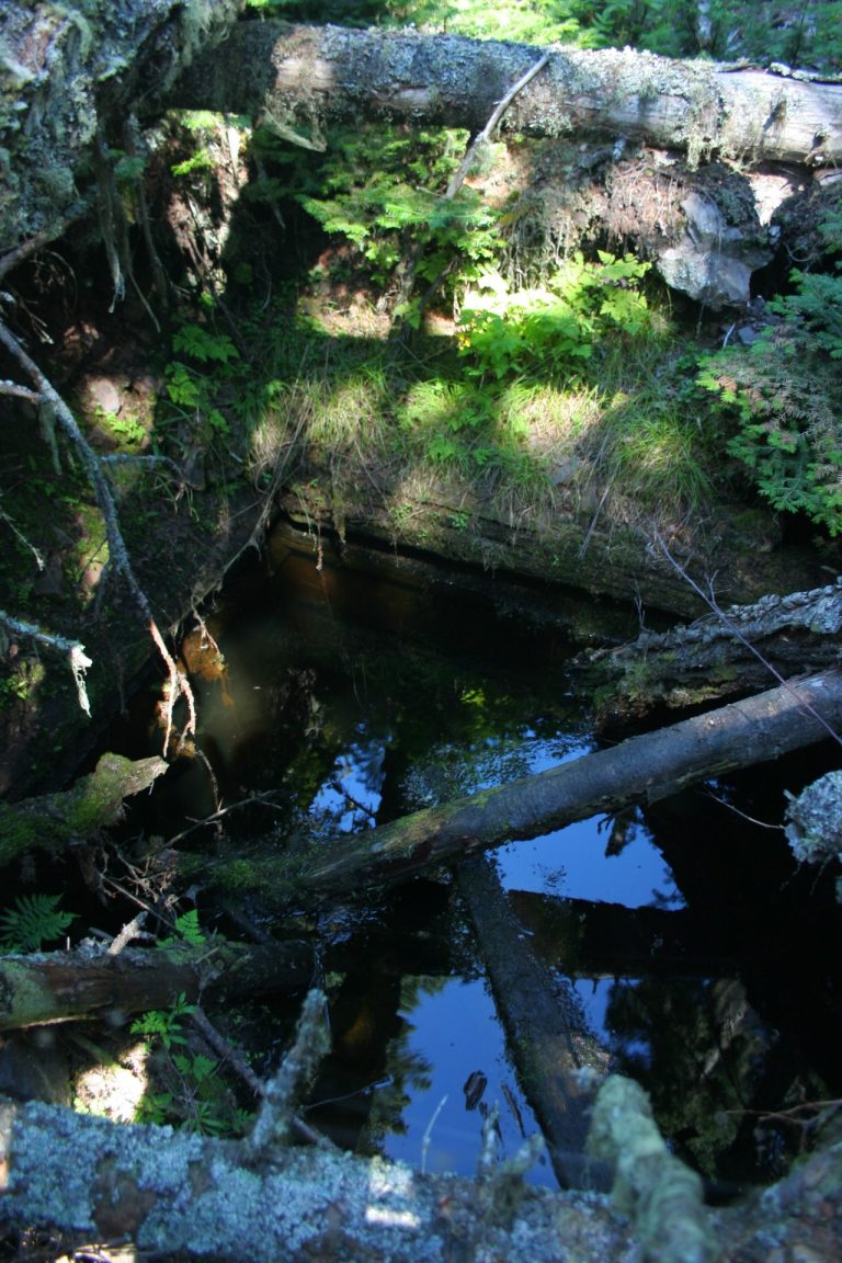 Isle Royale National Park: A Journey Through History | Northern ...