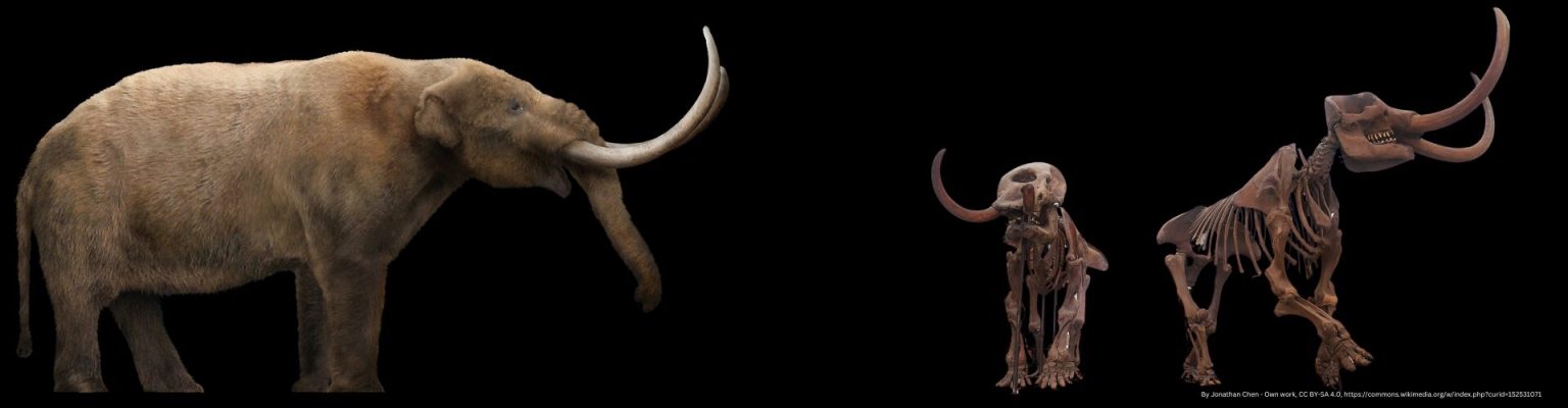 Michigan’s Official State Fossil: The Mighty Mastodon | Northern ...
