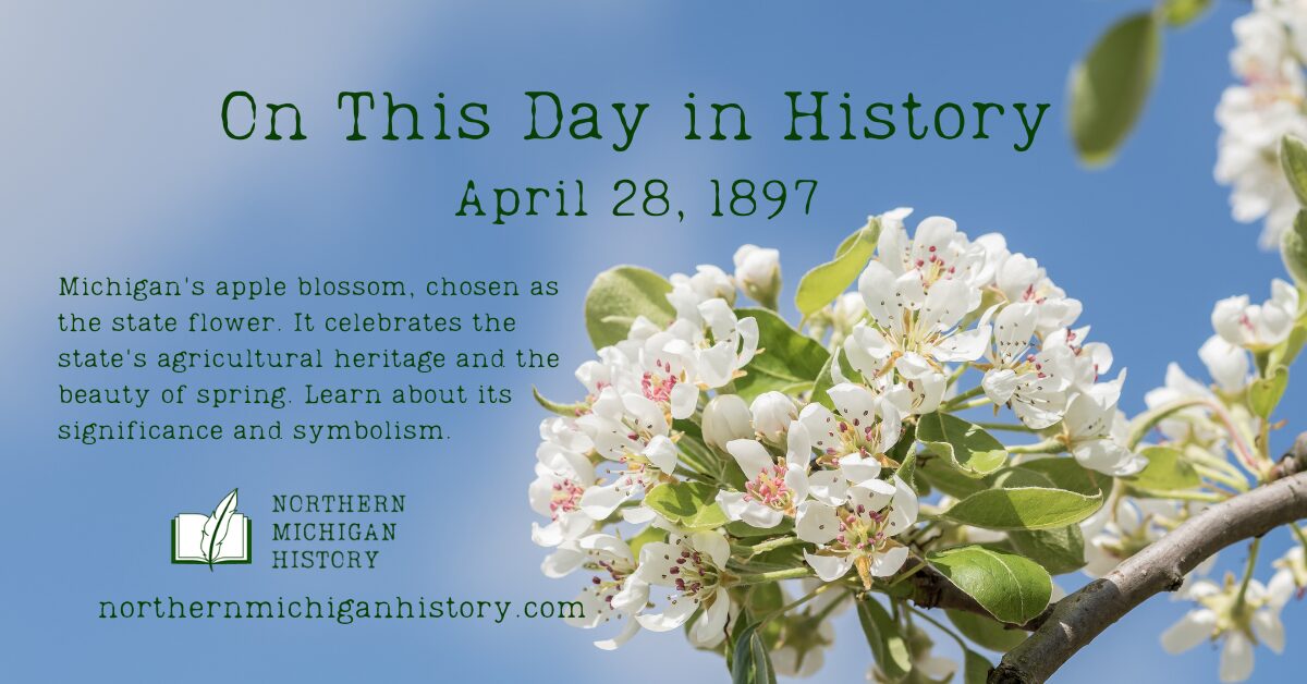 Michigan's Official State Flower | Northern Michigan History